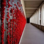 Canberra: City Highlights Day Tour with Entrance Fees - What to Expect: Practicalities and Highlights