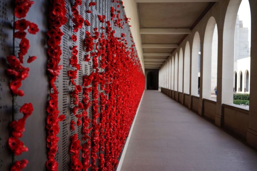 Canberra: City Highlights Day Tour with Entrance Fees - What to Expect: Practicalities and Highlights