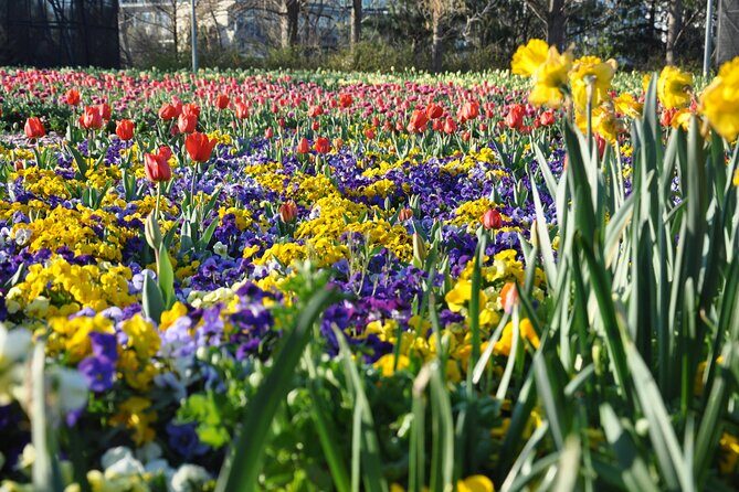 Canberra Floriade Tour - What You Get and What You Don’t