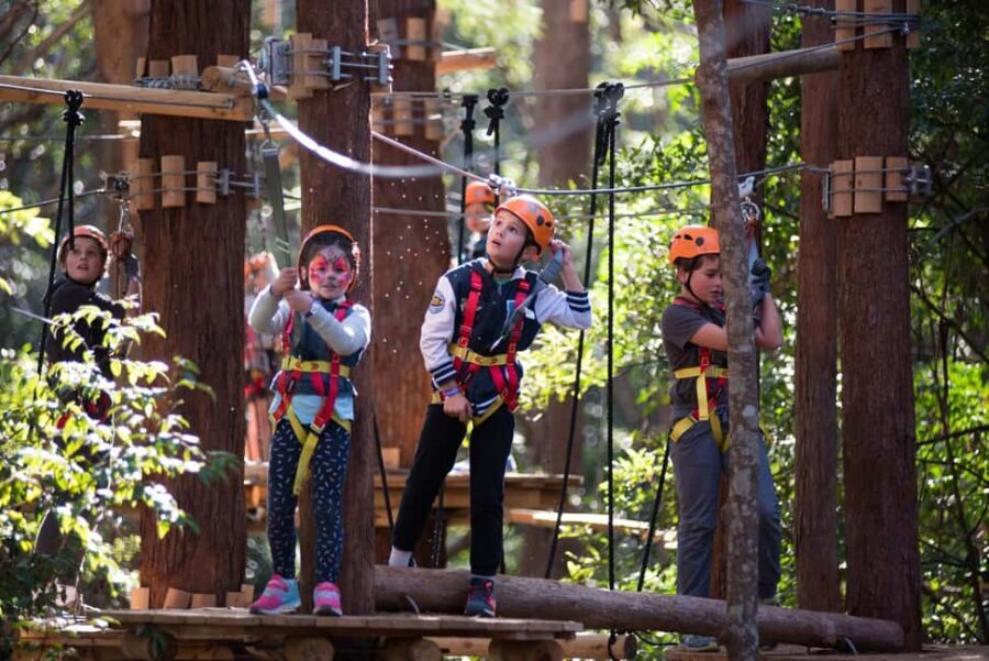 Canberra: Majura Pines Junior Tree Ropes Course - Authentic Feedback from Participants