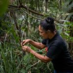 Cape Byron Aboriginal Tour - Practical Tips for Participants
