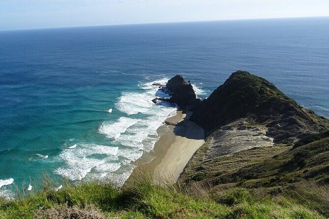 Cape Reinga Half-Day Tour Including Scenic Flight - Detailed Breakdown of the Itinerary