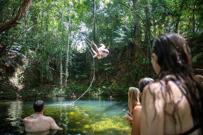 Cape Tribulation Day Tour from Cairns - Authentic Experiences and Practical Insights