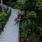 Cape Tribulation, Mossman Gorge and Daintree Rainforest Day Tour - The Itinerary — Exploring Every Stop