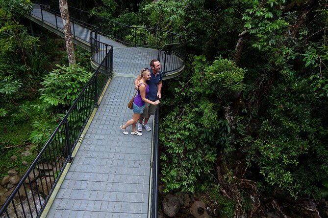 Cape Tribulation, Mossman Gorge and Daintree Rainforest Day Tour - The Itinerary — Exploring Every Stop