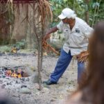 Cape Tribulation, Mossman Gorge, and Daintree Rainforest Day Trip - Review Highlights from Travelers