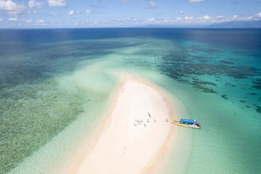 Cape Tribulation Ocean Safari - Great Barrier Reef Adventure - Authentic Experiences & Traveler Feedback