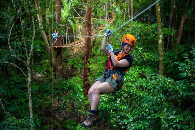 Cape Tribulation & Ziplining: Ultimate Daintree - Authentic Experiences and Practical Details