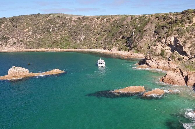 Cape Woolamai Sightseeing Cruise from San Remo - Why This Tour Is a Good Value