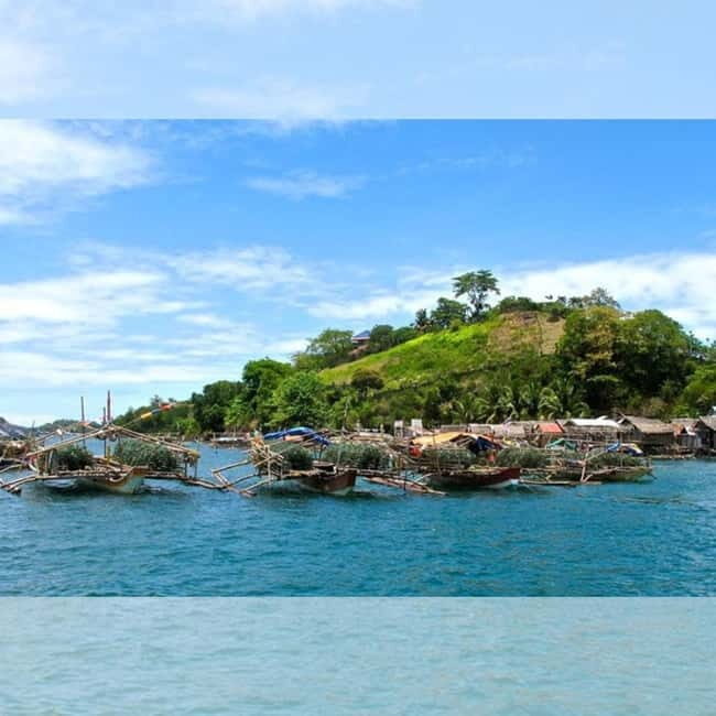 Capiz: Seafood Fiesta Culinary Tour - What to Expect from the Capiz Seafood Fiesta Culinary Tour