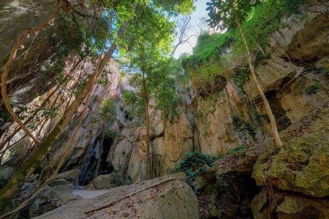 Capricorn Caves Cathedral Cave Tour - Authentic Insights from Travelers