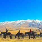 Cardrona High Country Pub Trail Horse Riding Trek (Intermediate+) - Pricing and Value