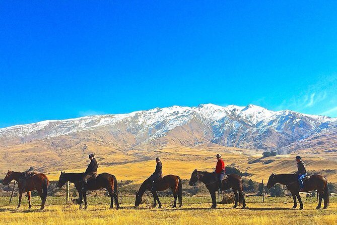 Cardrona High Country Pub Trail Horse Riding Trek (Intermediate+) - Pricing and Value