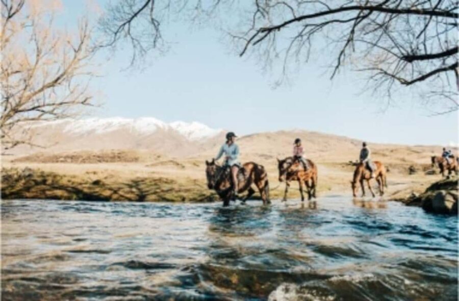 Cardrona Valley: Horse Trekking Experience - The Sum Up: Who Is This Tour Best For?