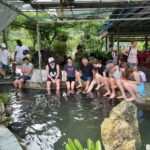 Cat Ba: Day boat tour with: kayak, cave, bike, meal, tickets - The Itinerary in Detail