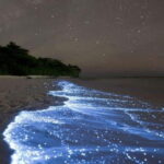 Cat Ba : Lan Ha Bay Bioluminescent Plankton Kayak Boat Tour - What’s Included & What’s Not