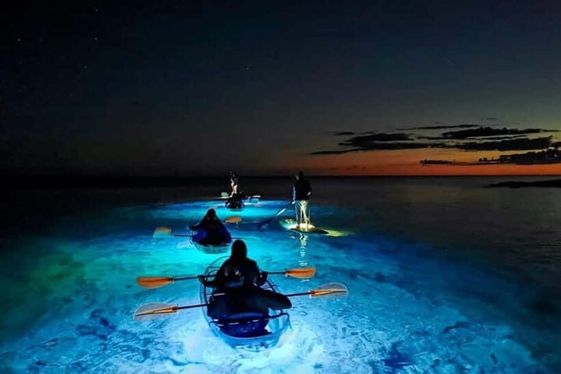 Cat Ba: Lan Ha Bay Sunset Cruise and Bioluminescent Swim - What’s Included and What to Consider