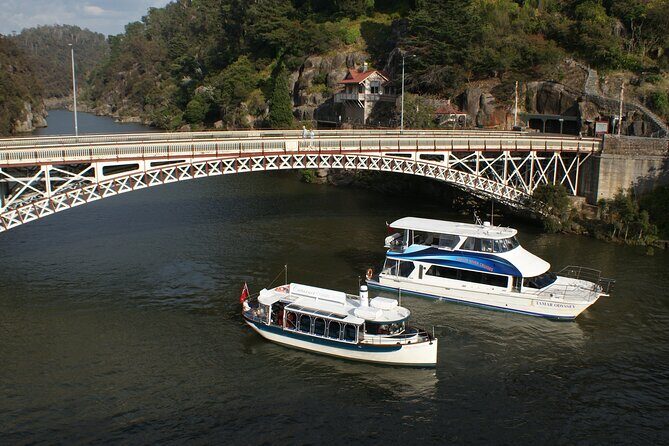 Cataract Gorge Cruise 11:30 am - Authentic Experiences from Reviews