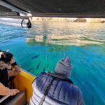 Cathedral Cove 2 Hour Guided Tour Explore Marine Wonders - A Closer Look at the Itinerary