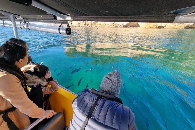 Cathedral Cove 2 Hour Guided Tour Explore Marine Wonders - A Closer Look at the Itinerary