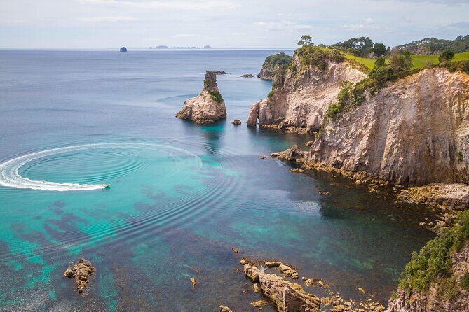 Cathedral Cove & Coromandel, Small-Group Tour from Auckland - The Itinerary in Detail: What You Can Expect