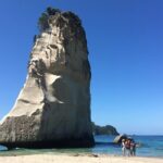 Cathedral Cove Day Trip from Auckland - Authentic Experiences and Traveler Feedback