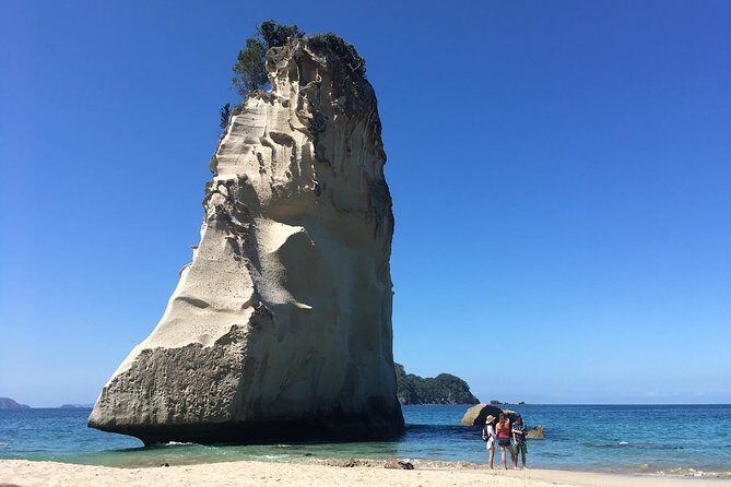 Cathedral Cove Day Trip from Auckland - Authentic Experiences and Traveler Feedback