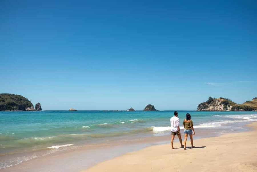 CATHEDRAL COVE & HOT WATER BEACH Day Tour from Auckland - What Makes This Tour Stand Out?