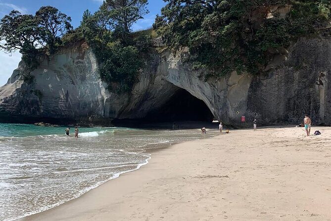 Cathedral Cove & Hot water beach -Full Day Tour: PRIVATE TOUR - The Unique Experience of Hot Water Beach