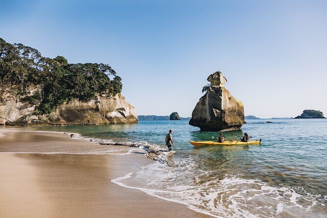 Cathedral Cove Kayak Tour - Is It Worth the Price?