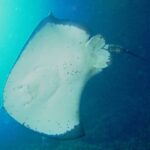Cathedral Cove Marine Reserve: Snorkeling Boat Trip - Itinerary Breakdown