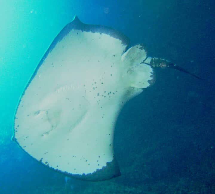 Cathedral Cove Marine Reserve: Snorkeling Boat Trip - Itinerary Breakdown