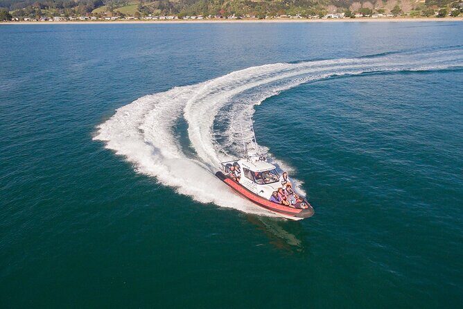 Cathedral Cove Scenic Cruises Whitianga - What’s Included – All the Highlights Packed In
