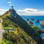 Catlins Cruiser Private Tour from Dunedin Cruise Port - Authentic Traveler Perspectives