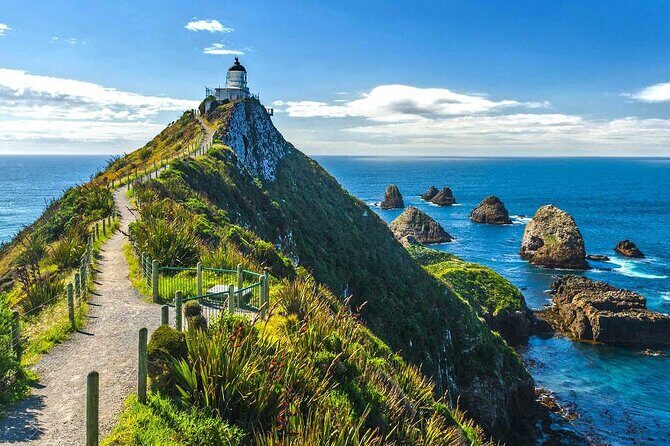 Catlins Cruiser Private Tour from Dunedin Cruise Port - Authentic Traveler Perspectives