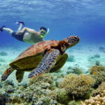Cebu: 2-Day Island-Hopping, Canyoneering, and Whale Shark - The Practical Details