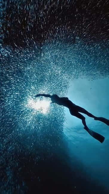 Cebu: Moalboal Sardine Run & Kawasan Falls Canyoneering - The Experience in Context