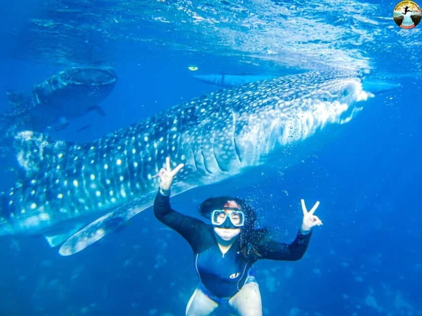 Cebu: Oslob Whale Sharks & Kawasan Canyoneering Group Tour - Analyzing Value and Practicalities
