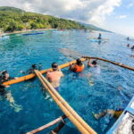 Cebu: Oslob Whale Sharks, Moalboal Sardine Run & Turtles - Who Should Consider This Tour?