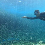 Cebu: Sardine Run Snorkeling, Mantayupan Falls & ATV Thrills - How the Itinerary Translates to Value and Experience