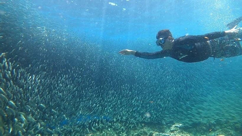 Cebu: Sardine Run Snorkeling, Mantayupan Falls & ATV Thrills - How the Itinerary Translates to Value and Experience