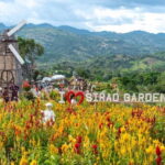 Cebu: Simala Shrine and City Tour Package A - A Taste of Cebu’s Natural Beauty and Local Life