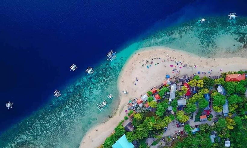 Cebu: Whale Shark, Tumalog, and Moalboal Tour - FAQ