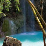 Cebu: Whale Shark, Tumalog, Sumilon, and Moalboal Tour - What to Expect from the Itinerary