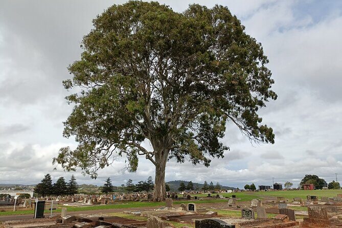Cemetree Tour, Roots of Toowoomba's History from Harristown - Final Words: Why Consider the Cemetree Tour?