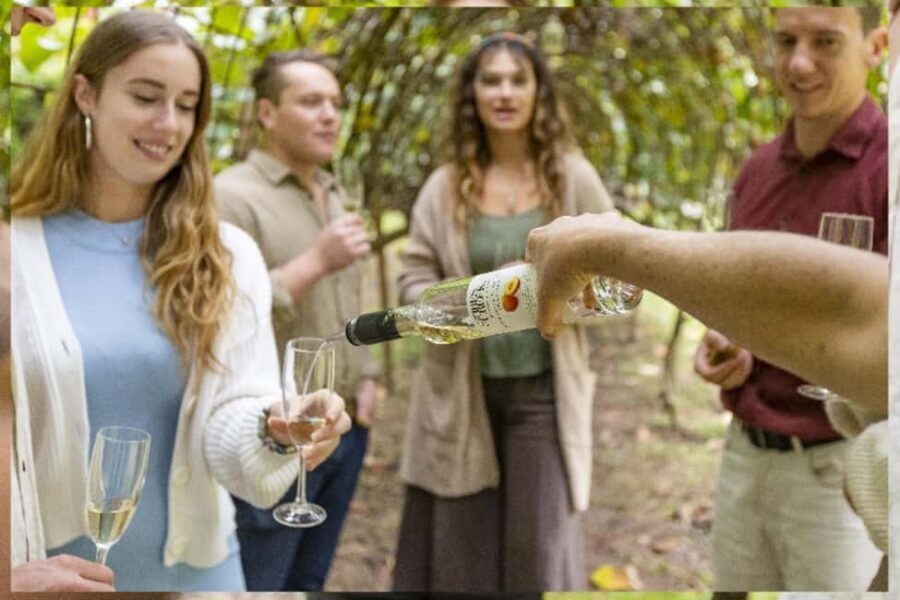 Central Coast NSW: The Winemakers Secret Garden Tour - The Experience in Detail: Why It Matters