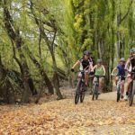 Central Otago River Loop Trail on E Bike - Practical Details and Tips