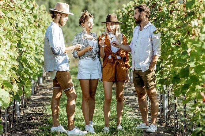 Central Otago Wine Tour with Wine Dog | Adults Only - A Detailed Look at the Itinerary