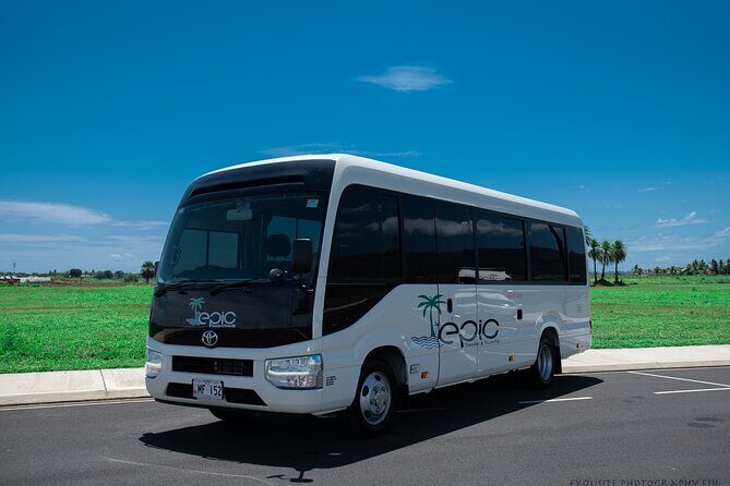 CFC APPROVED Private Arrival Transfer - Nadi Airport to Hotel - Why It’s a Great Value for Money