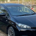 CFC Arrival Private Transfer-Nadi Airport to Gecko's Resort Coral Coast - Who Will Love This Service?